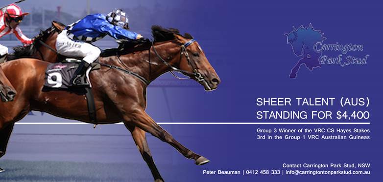 Stallions | Carrington Park Stud